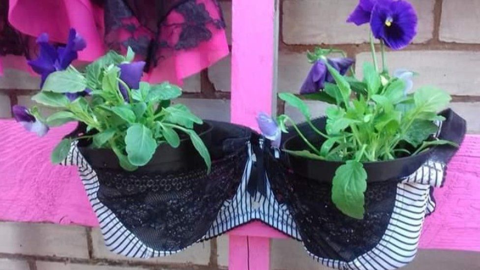 Barnsley care home fills bras with flowers for charity - BBC News
