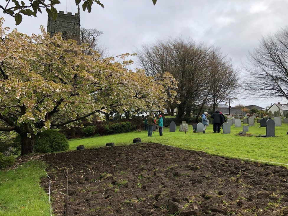 Volunteers planting vegetable patch in Landrake graveyard - BBC News