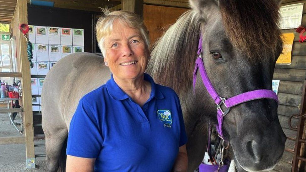 Duchess of Edinburgh visits Wiltshire equine therapy centre - BBC News