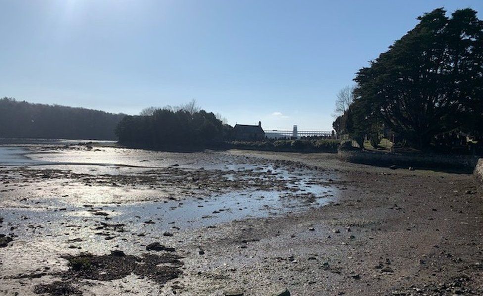 Lle i enaid gael llonydd: Nia Lloyd Jones - BBC Cymru Fyw