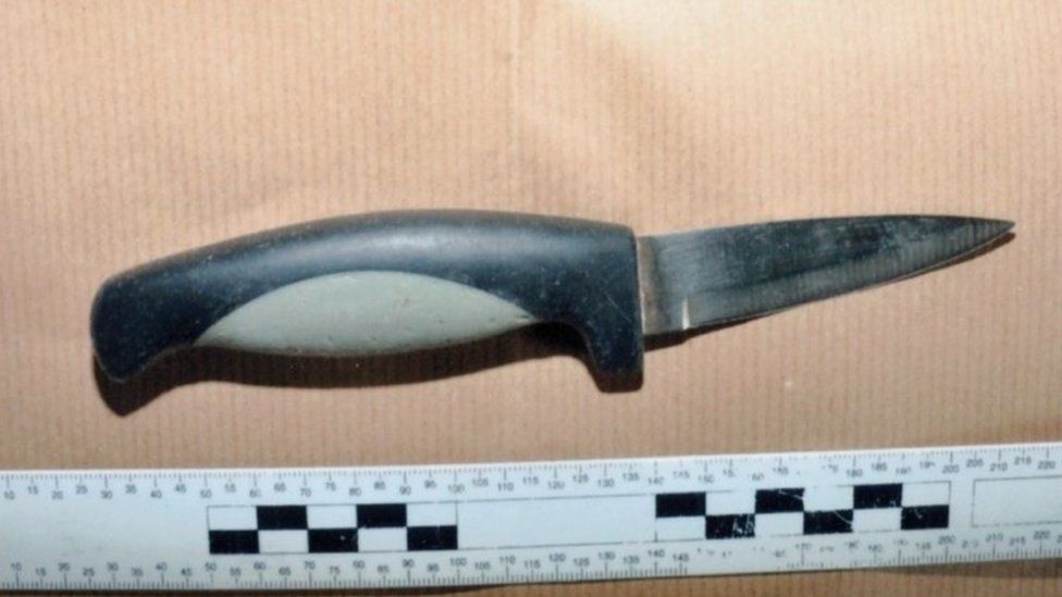 Killer-obsessed schoolgirl guilty of friend murder bid - BBC News