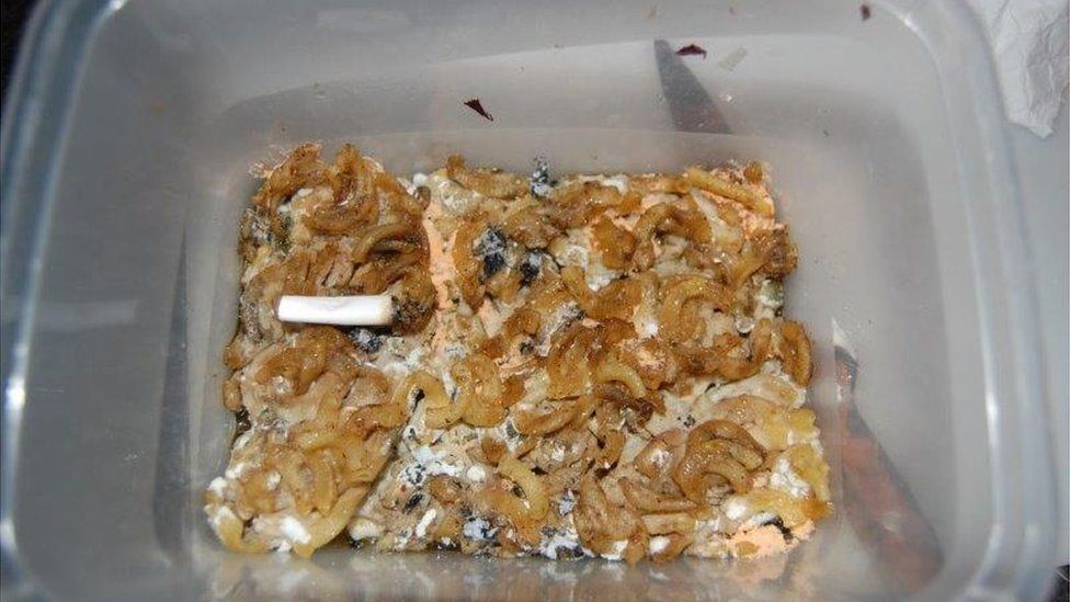 Mother jailed for death of baby daughter in 'chaotic' home - BBC News