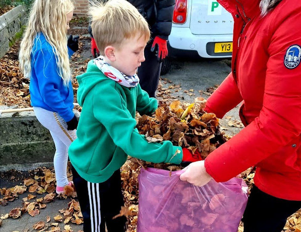 Should we offer to sweep leaves on our streets? - BBC News