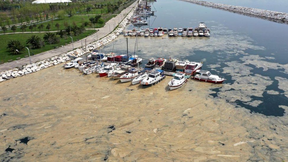 How is 'rock snot' affecting rivers in Michigan? - BBC Newsround