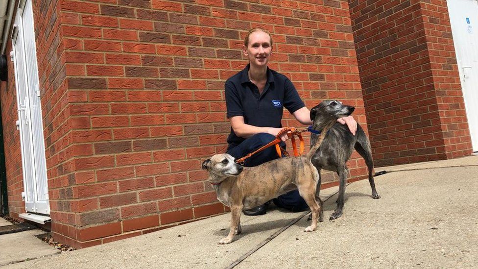 Coronavirus: RSPCA fears a surge of pet abandonments - BBC News