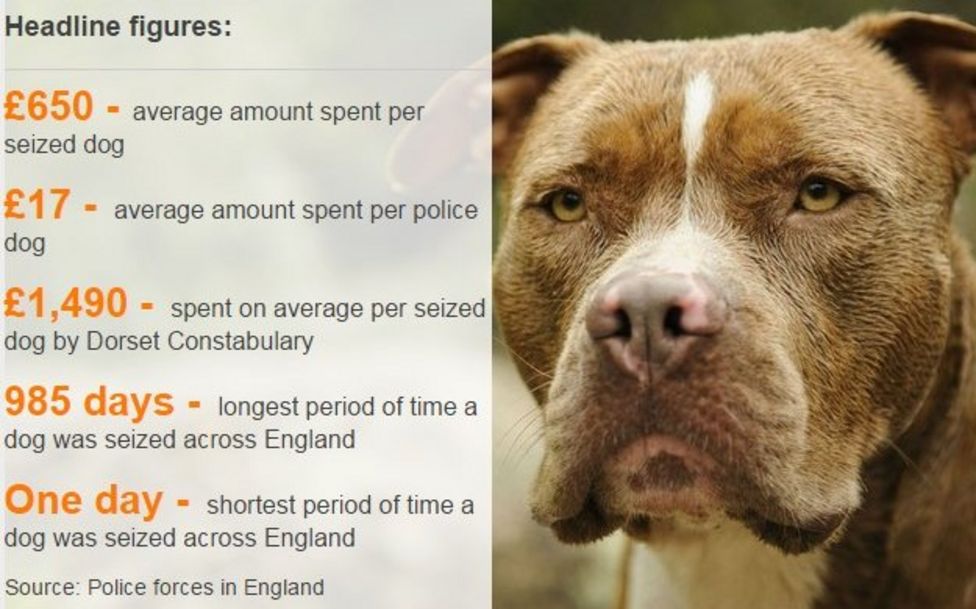 Kennelling seized dogs places 'burden' on police budgets - BBC News