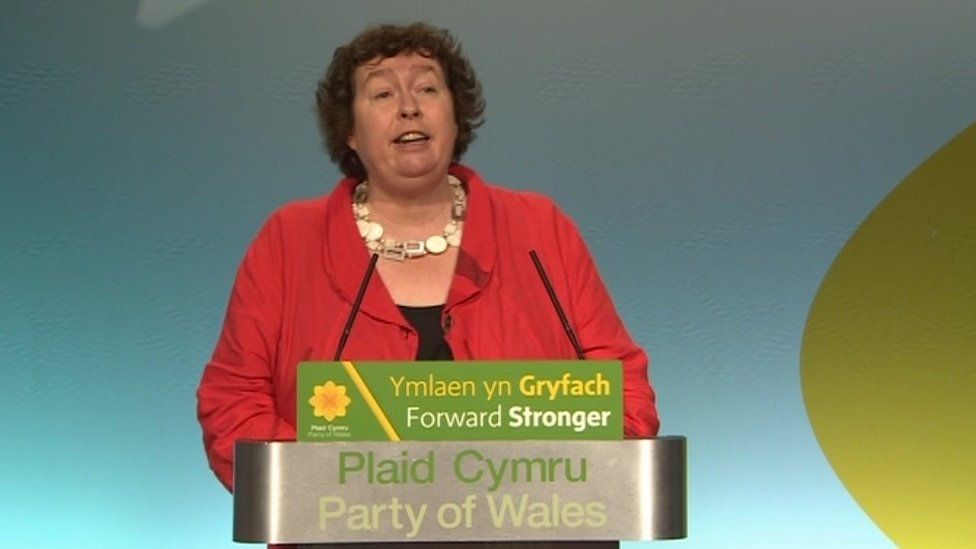Plaid Cymru warns party members over social media use - BBC News