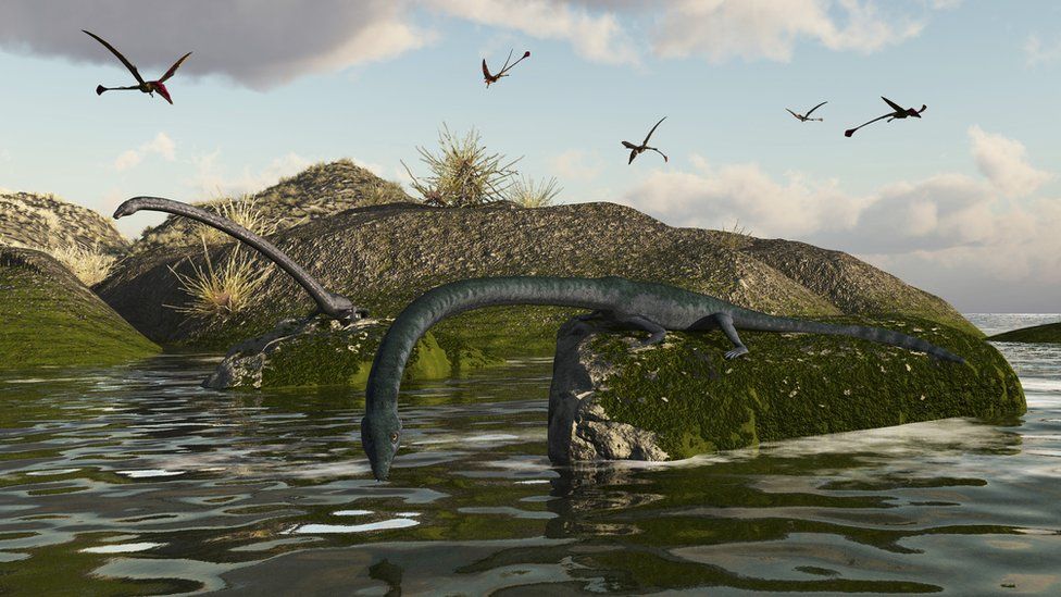 Prehistoric reptiles' long necks made them targets for predators - BBC ...