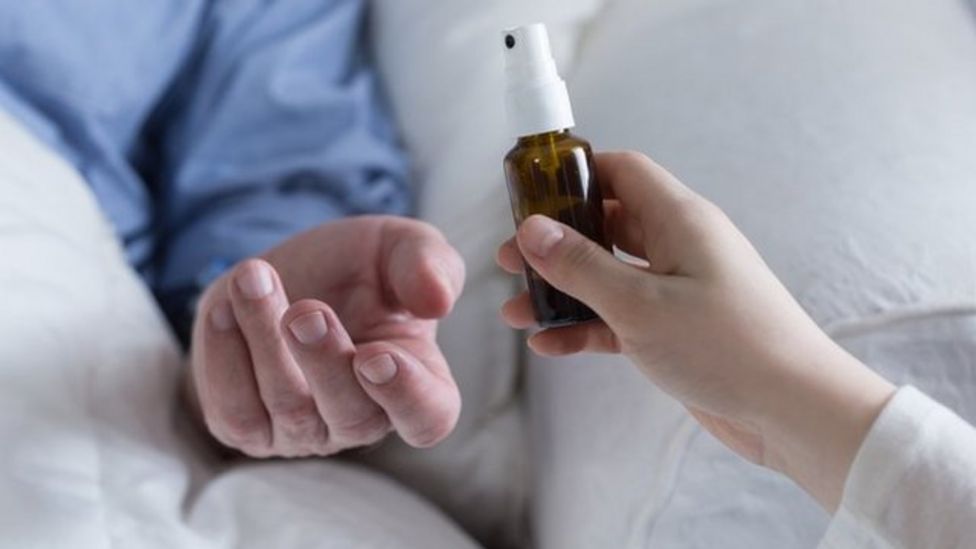 Canada's parliament passes assisted suicide bill - BBC News