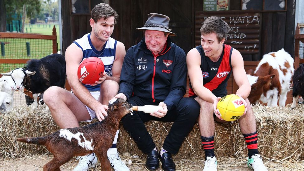 World sport: 10 photos we liked this week - BBC Sport