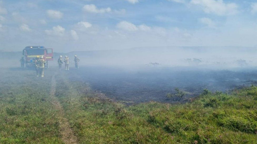 Dorset heath blaze caused by barbecue, fire service says - BBC News