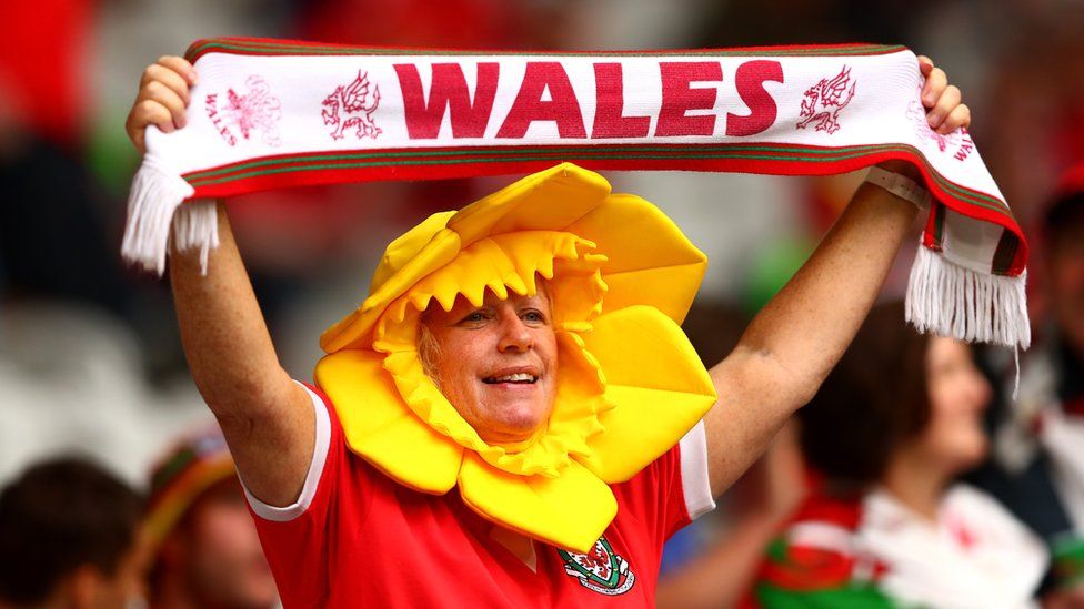 Euro 2016: Wales fans hail 'greatest ever victory' - BBC News