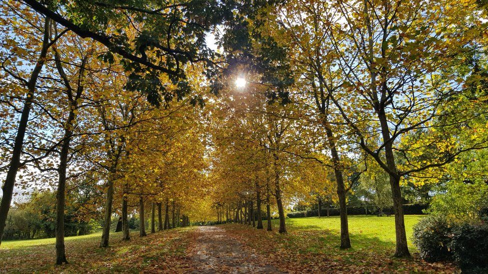 England's Big Picture: 19 - 25 October - BBC News