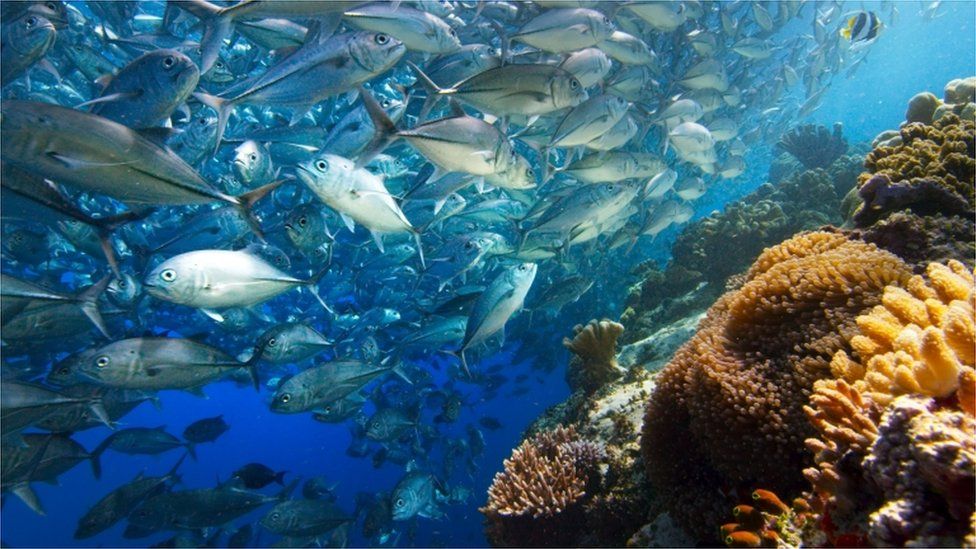 Blue Planet Leicester submarine dome company gets award - BBC News