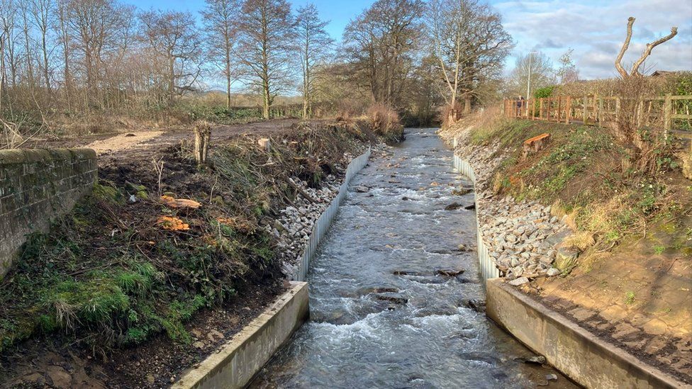 Project to dismantle Derbyshire weir sees fish breed - BBC News
