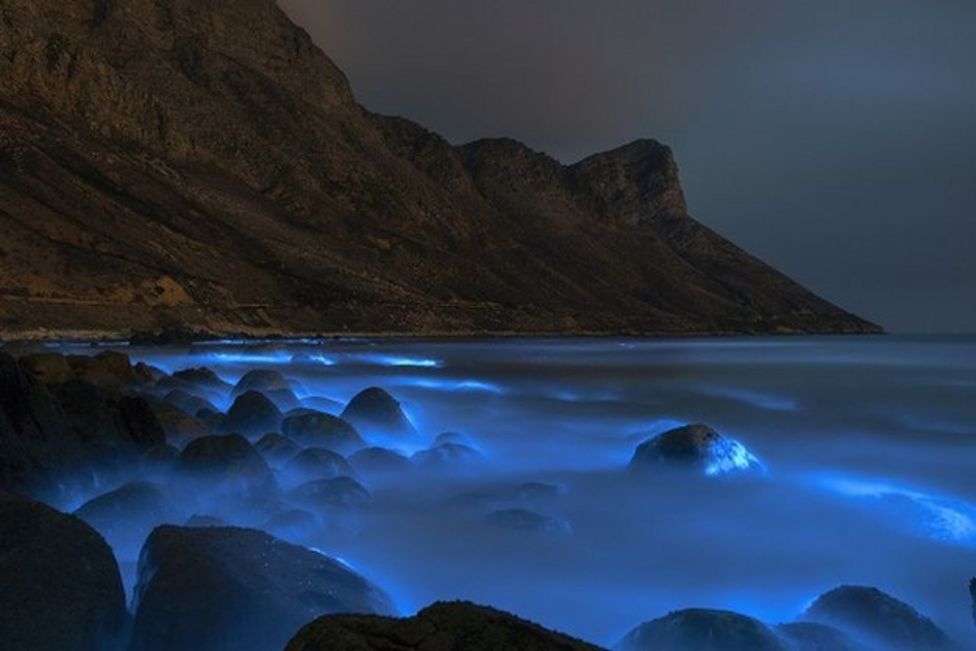 Earth Photo 2024: Amazing photos tell stories about our planet - BBC ...