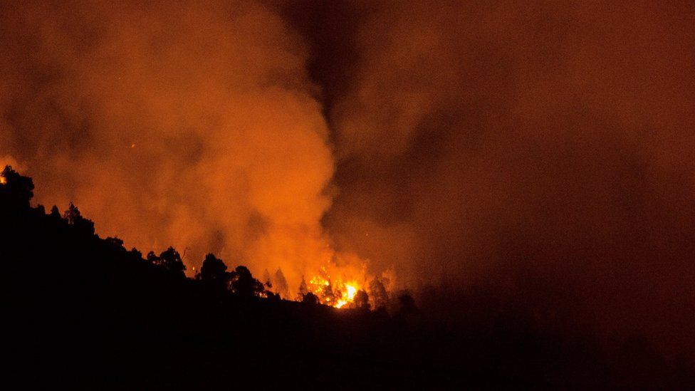 La Palma wildfire: Park ranger dies fighting blaze - BBC News