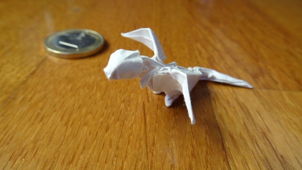 Wales' first BOS origami convention comes to Swansea Uni - BBC News