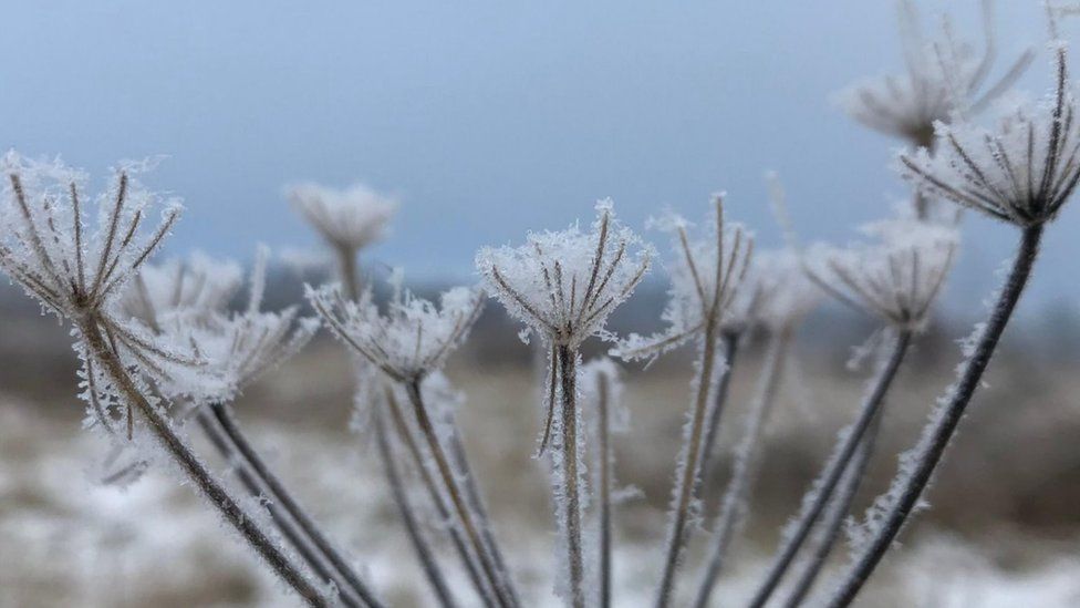 Snow and frost in northern UK - BBC Weather