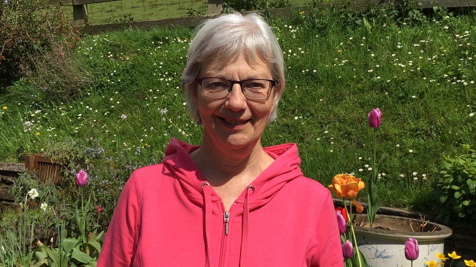 Anrhydeddau'r Orsedd: Y de - BBC Cymru Fyw