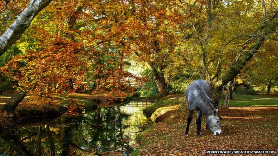 Why has it been such a pretty autumn? - BBC Weather