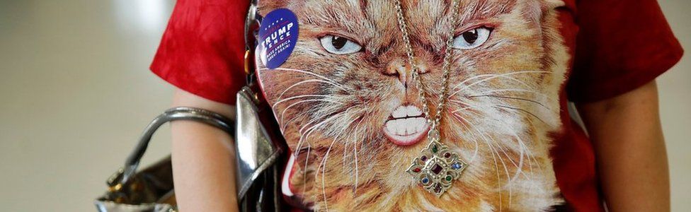 A short guide to surviving a post-election Thanksgiving - BBC News