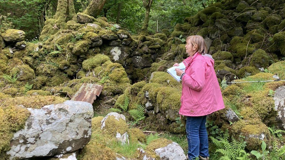 Y cysylltiad rhwng gwlân Dolgellau a chaethwasiaeth - BBC Cymru Fyw