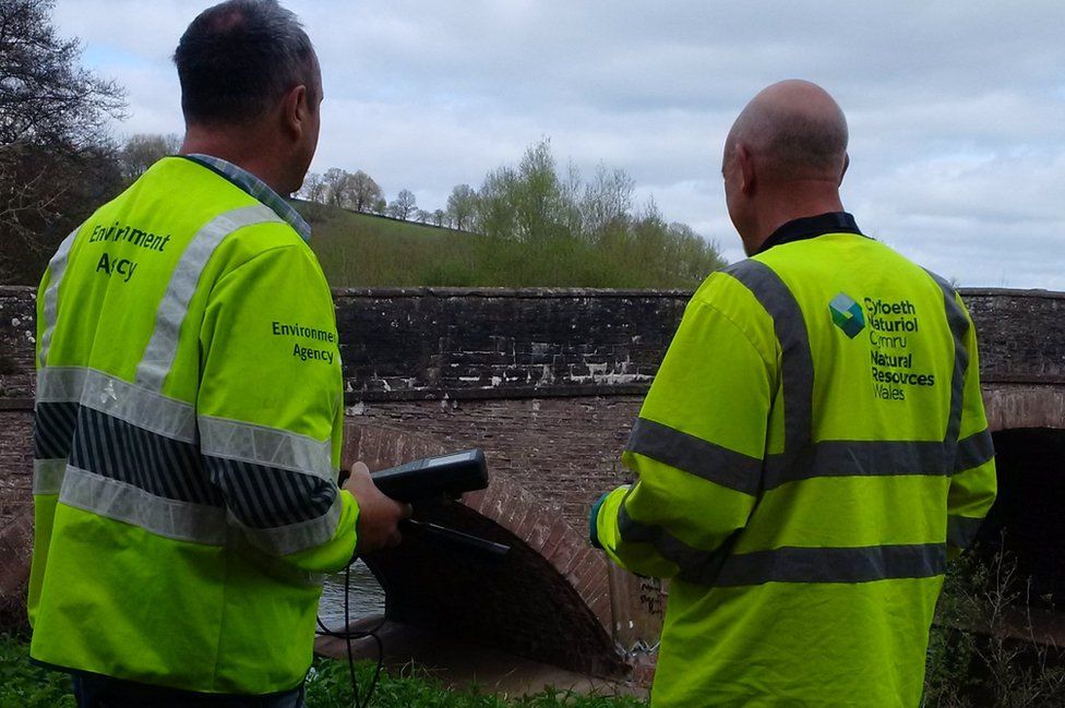River Honddu farm slurry pollution 'contained' - BBC News