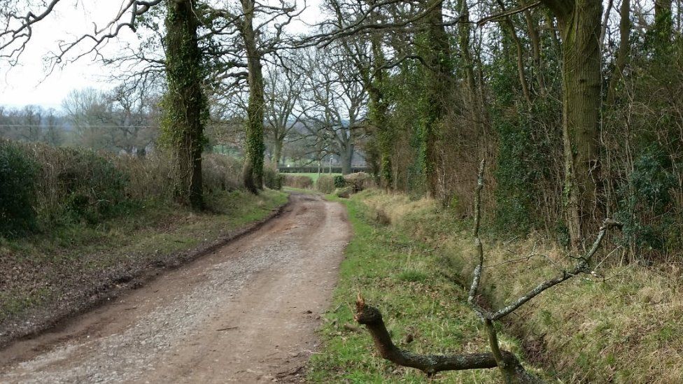 Strangled dog found in Shropshire country lane - BBC News