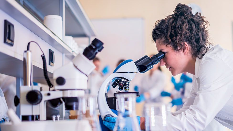 Universities call to keep European research links - BBC News