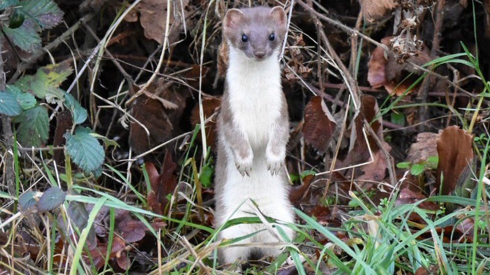 Oxfordshire's Big Picture - BBC News