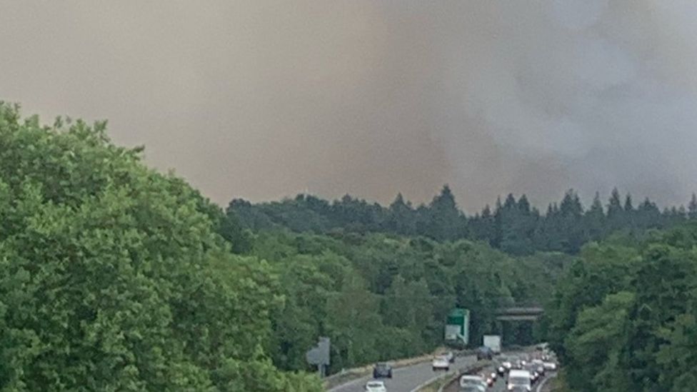 Army explosives training caused forest fire at Hampshire camp, says MoD ...