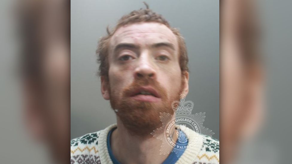 Wrexham Burglar Who Robbed Brain Cancer Patient Jailed Bbc News