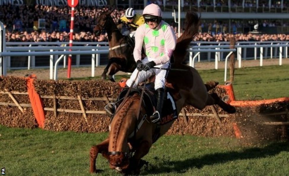 Annie Power: 2016 Cheltenham Champion Hurdle winner retired - BBC Sport
