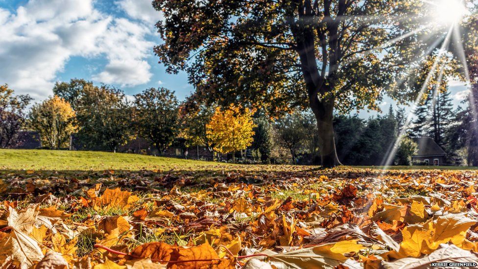 Autumn Colours - BBC Weather