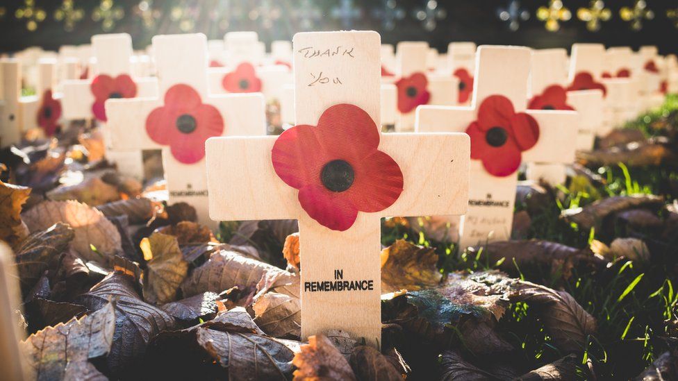 Remembrance Sunday: What's different about the Scottish poppy? - BBC News