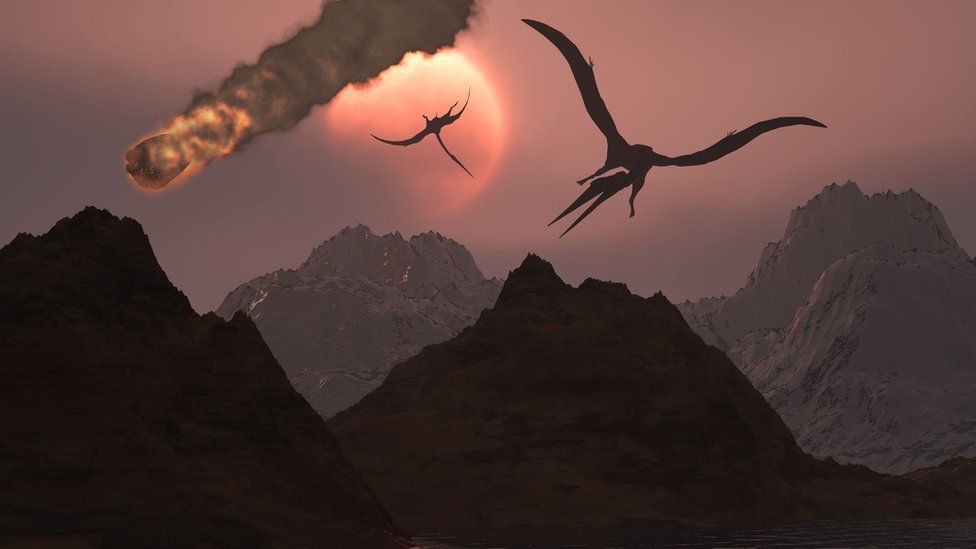 Asteroid that wiped out dinosaurs "hit in springtime" - BBC Newsround