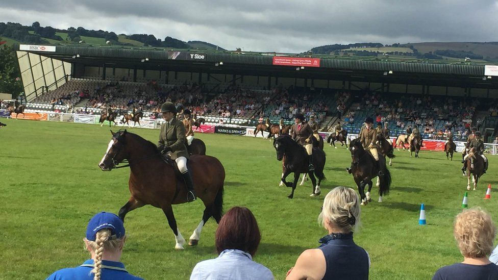 In pictures: Royal Welsh Show opens in Llanelwedd, Powys - BBC News