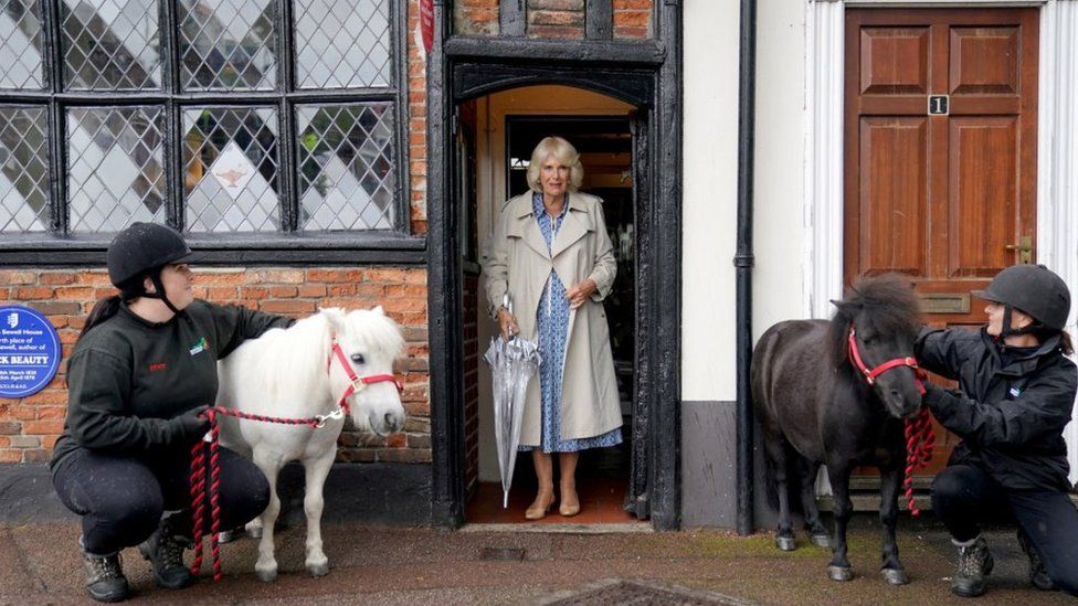 Camilla visits Black Beauty author's house in Great Yarmouth - BBC News