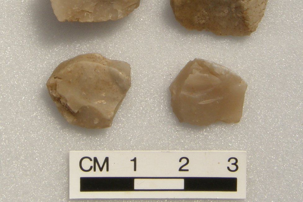 Britain's earliest gun flints found on tiny island - BBC News