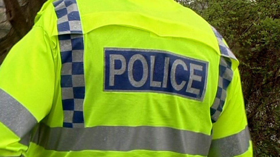 Mayor of Middlesbrough calls for trouble-making children to be tagged ...
