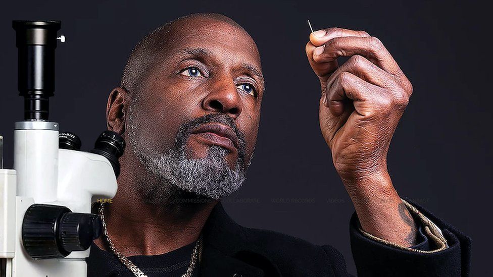 Microscopic sculptures to go on display at Wollaton Hall - BBC News