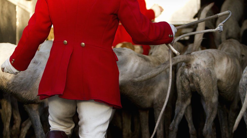 Mark Hankinson: Top huntsman did not encourage illegal fox hunting ...