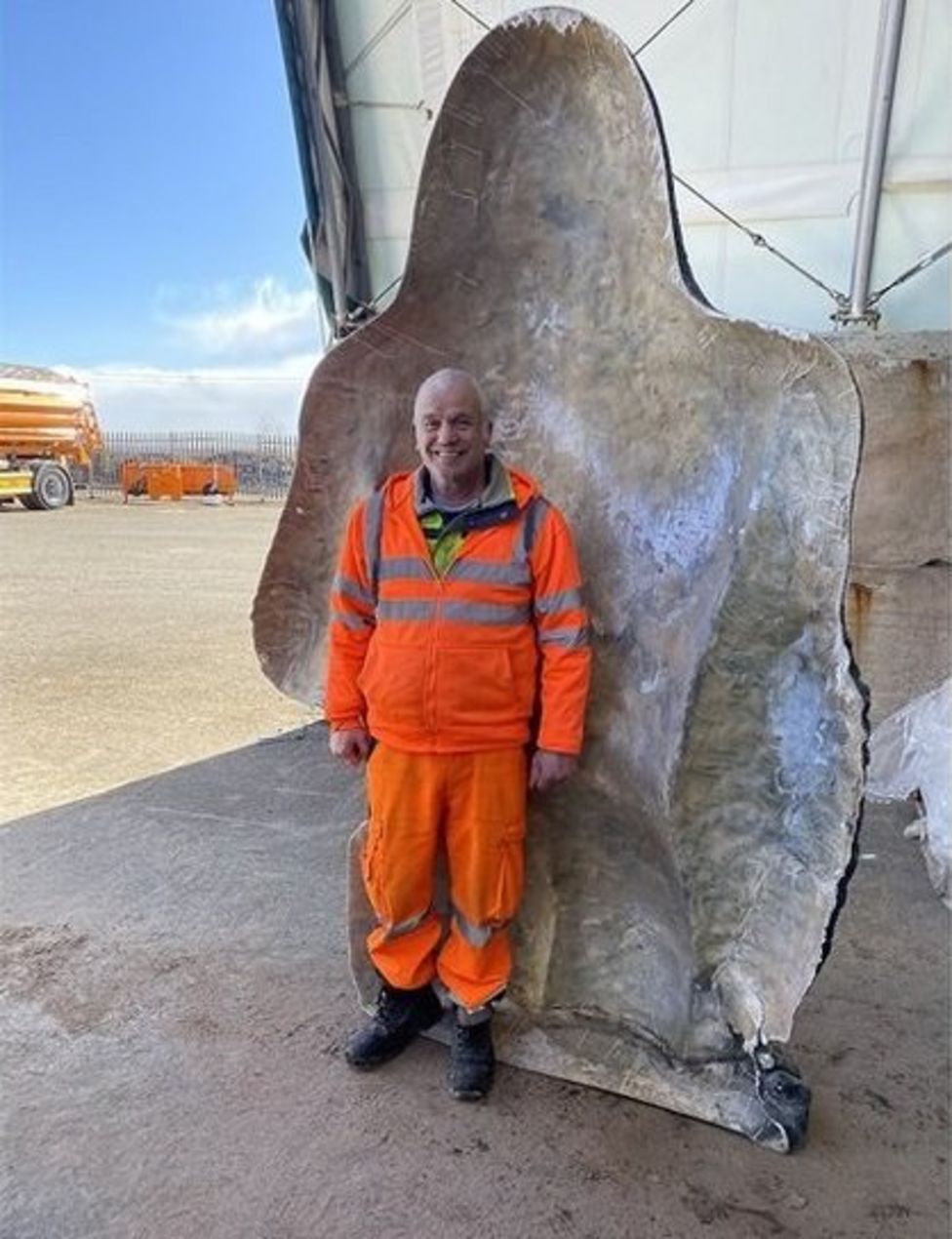 Gary the Gorilla: Giant ape statue has been found... sort of - BBC ...