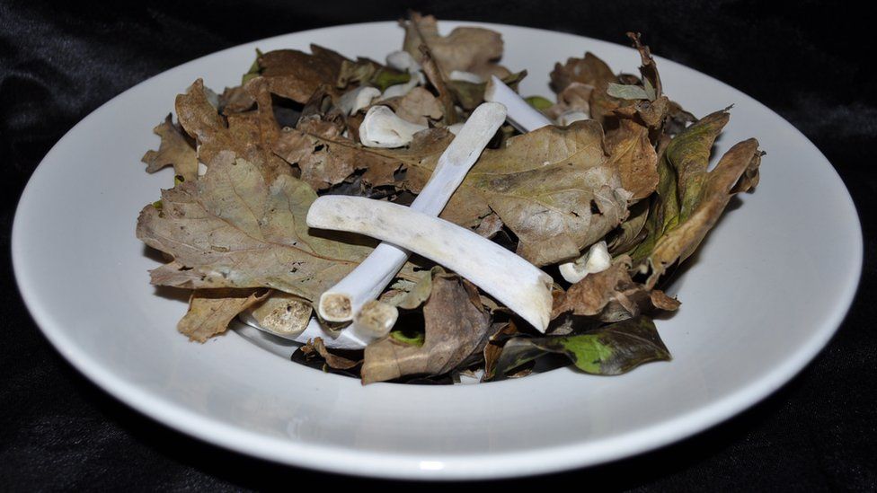 Turnip Prize: Finalists in spoof art competition revealed - BBC News