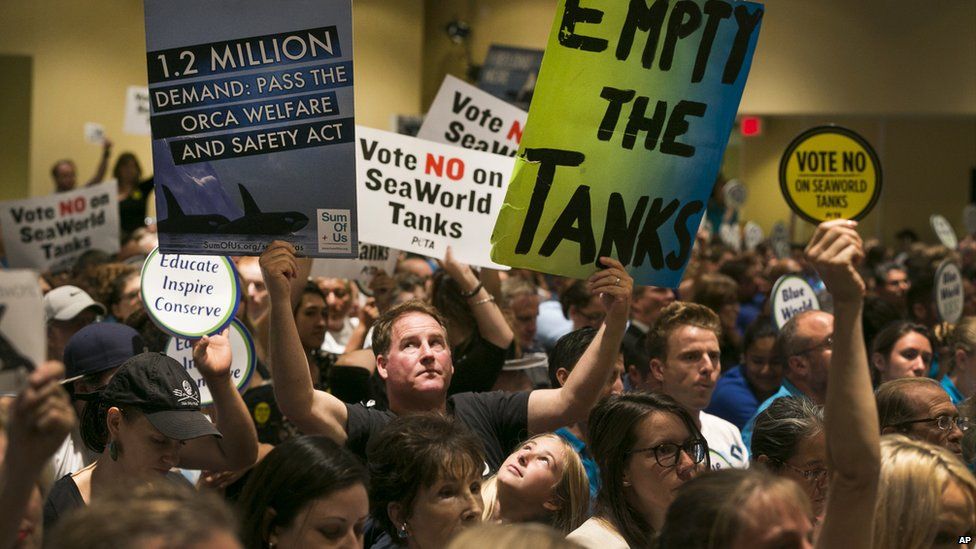 SeaWorld San Diego hosts final One Ocean orca show on Sunday - BBC News