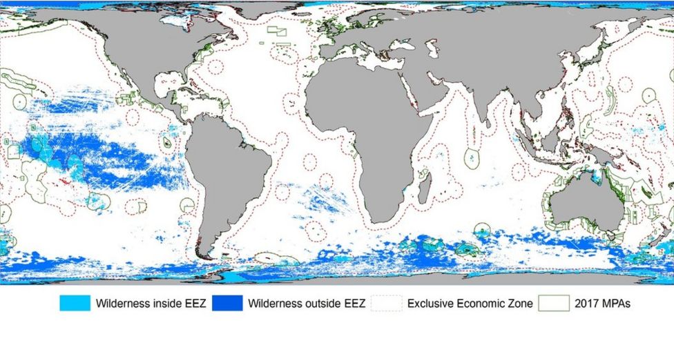 Ocean wilderness 'disappearing' globally - BBC News