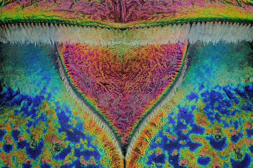 When art meets science, check out these neon pics from under the ...