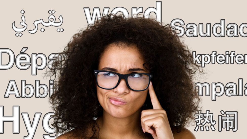 Quiz Words Lost In Translation BBC News quiz-words-lost-in-translation-bbc-news
