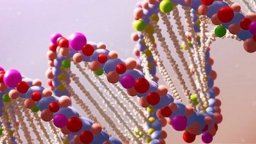 World's longest DNA sequence decoded - BBC News